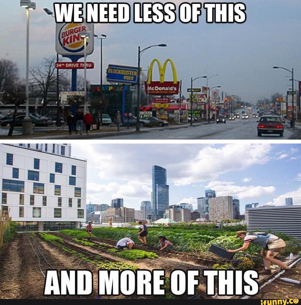 WE NEED LESS OF THIS AND MORE OF THIS - iFunny