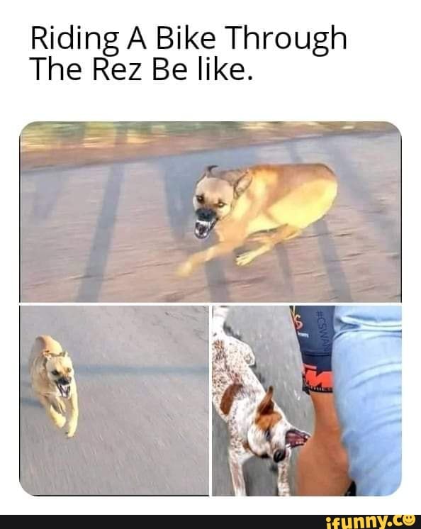 Ricing A Bike Through The Rez Be like. - iFunny