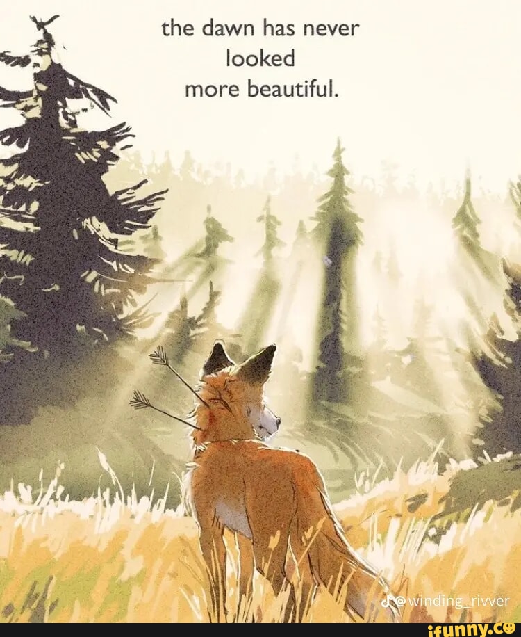 The dawn has never looked more beautiful. BE - iFunny