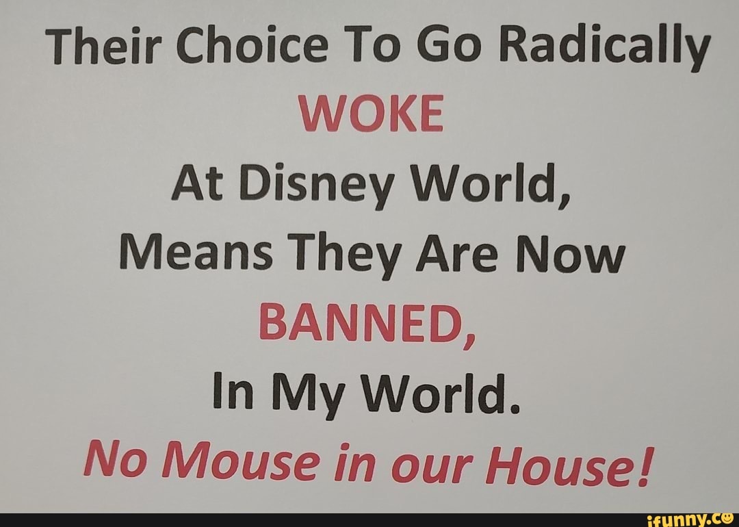 Their Choice To Go Radically WOKE At Disney World, Means They Are Now ...