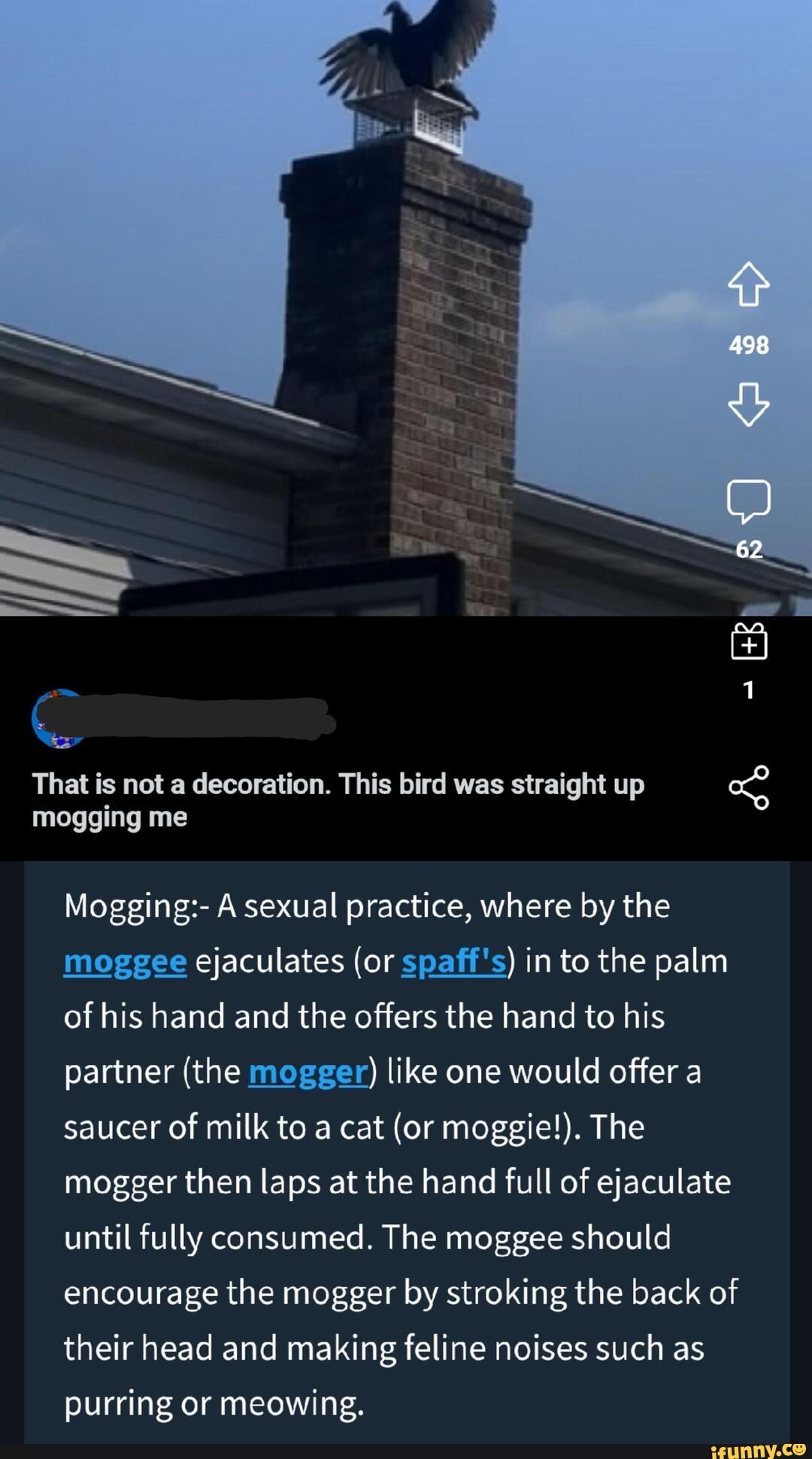 Moggee memes. Best Collection of funny Moggee pictures on iFunny