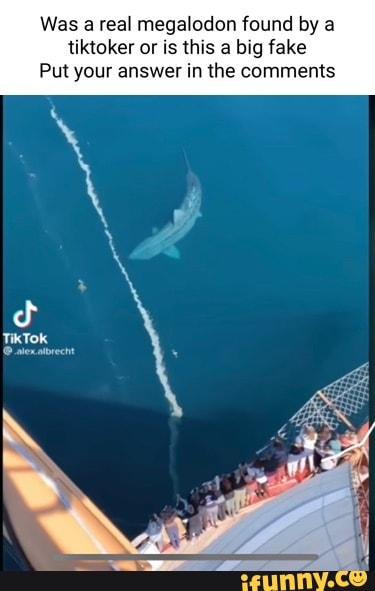 Megalodon memes. Best Collection of funny Megalodon pictures on iFunny