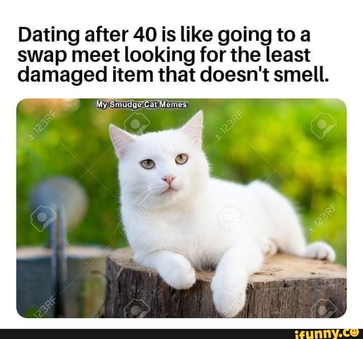 Swapmeet memes. Best Collection of funny Swapmeet pictures on iFunny