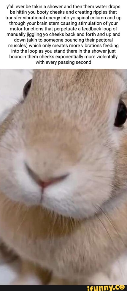 Spinal memes. Best Collection of funny Spinal pictures on iFunny