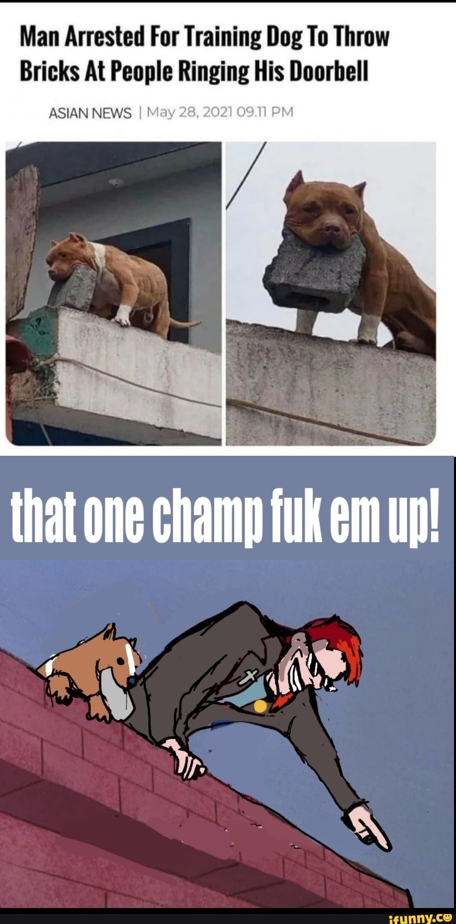 Man Arrested For Training Dog To Throw Bricks At People Ringing His ...