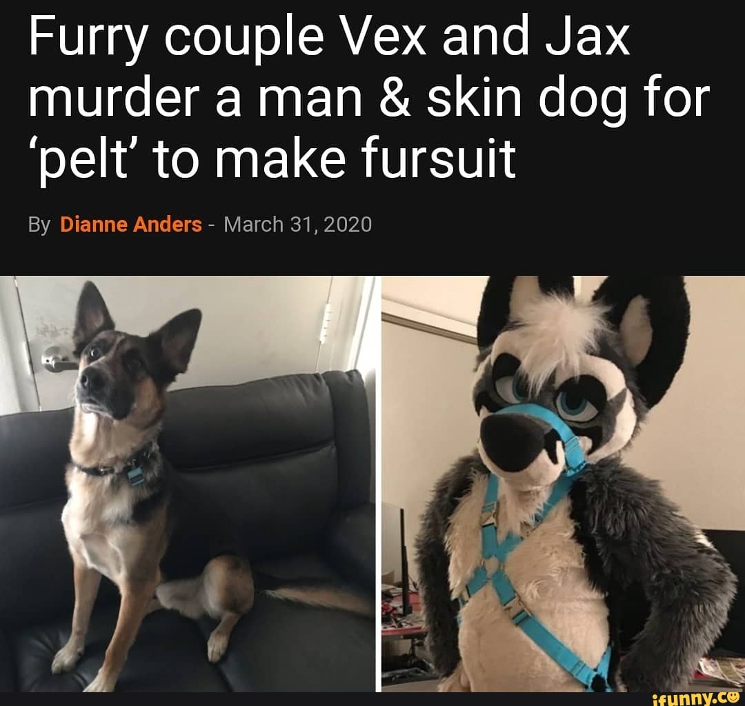 Furry couple Vex and Jax murder a man skin dog for 'pelt' to make ...