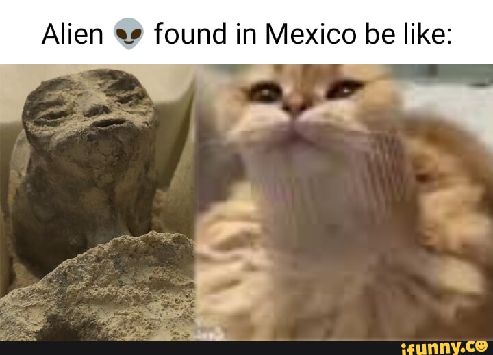 Alieninmexico memes. Best Collection of funny Alieninmexico pictures on ...