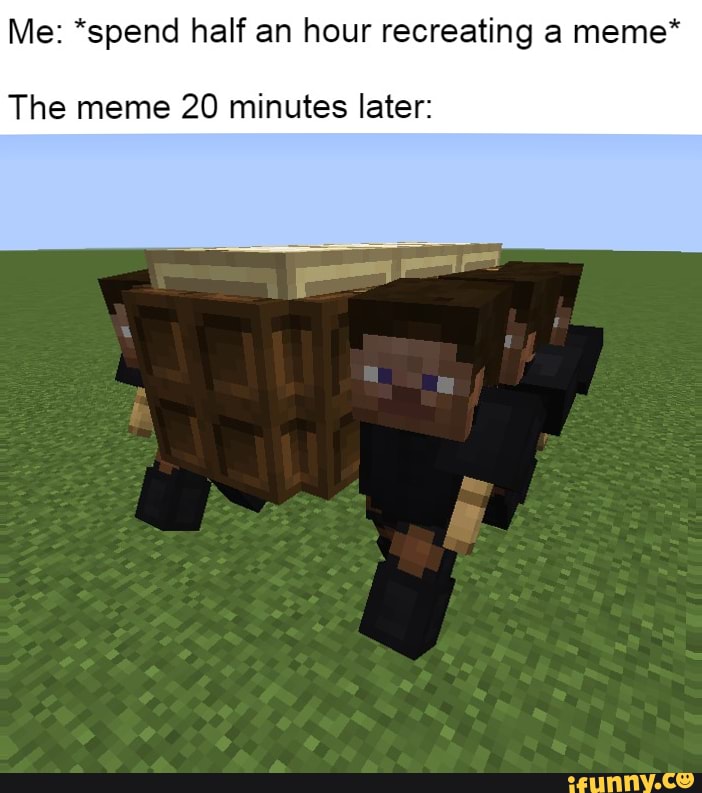 Me: "spend half an hour recreating a meme* The meme 20 minutes later ...