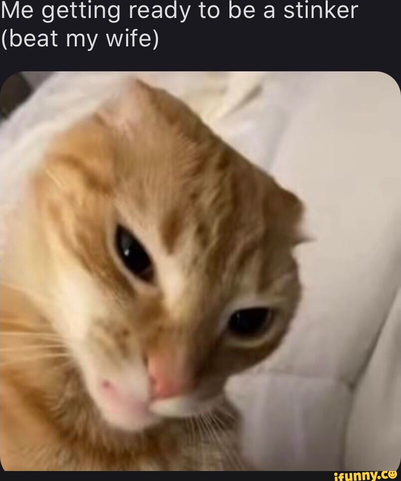 Me getting ready to be a stinker (beat my wife) - iFunny