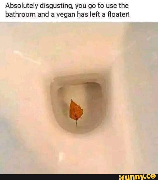 Floater memes. Best Collection of funny Floater pictures on iFunny