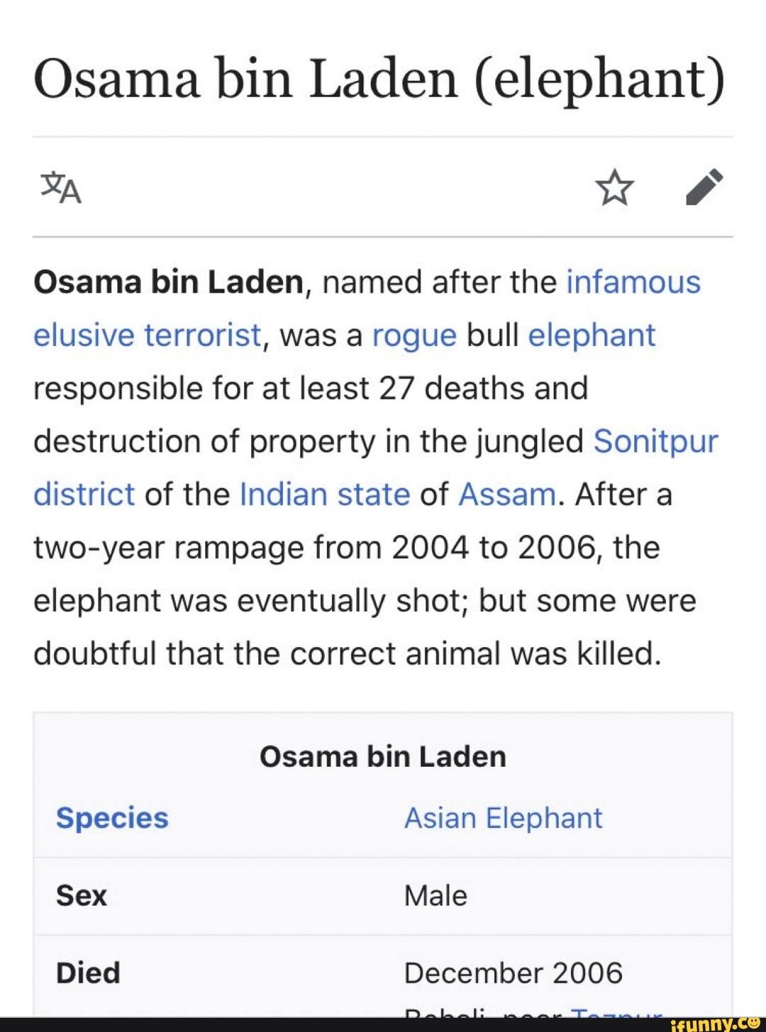Osama bin Laden (elephant) Osama bin Laden, named after the infamous ...