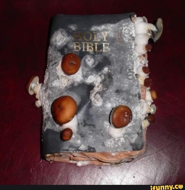 Cursed_bible memes. Best Collection of funny Cursed_bible pictures on ...