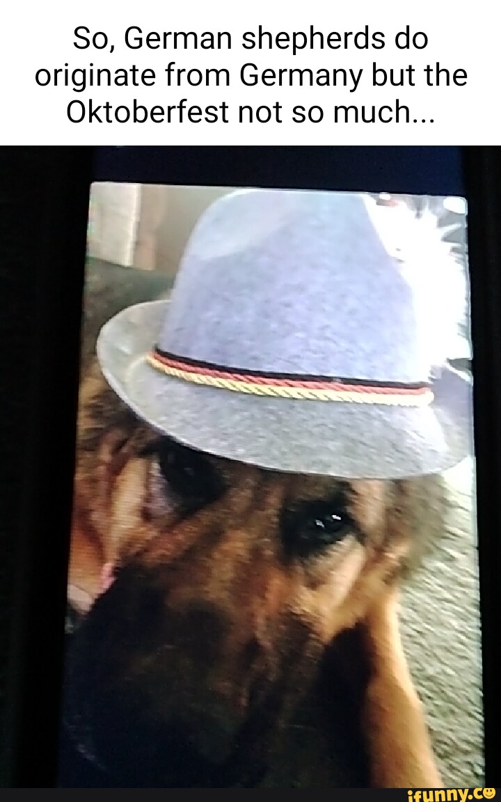 Oktoberfest memes. Best Collection of funny Oktoberfest pictures on iFunny