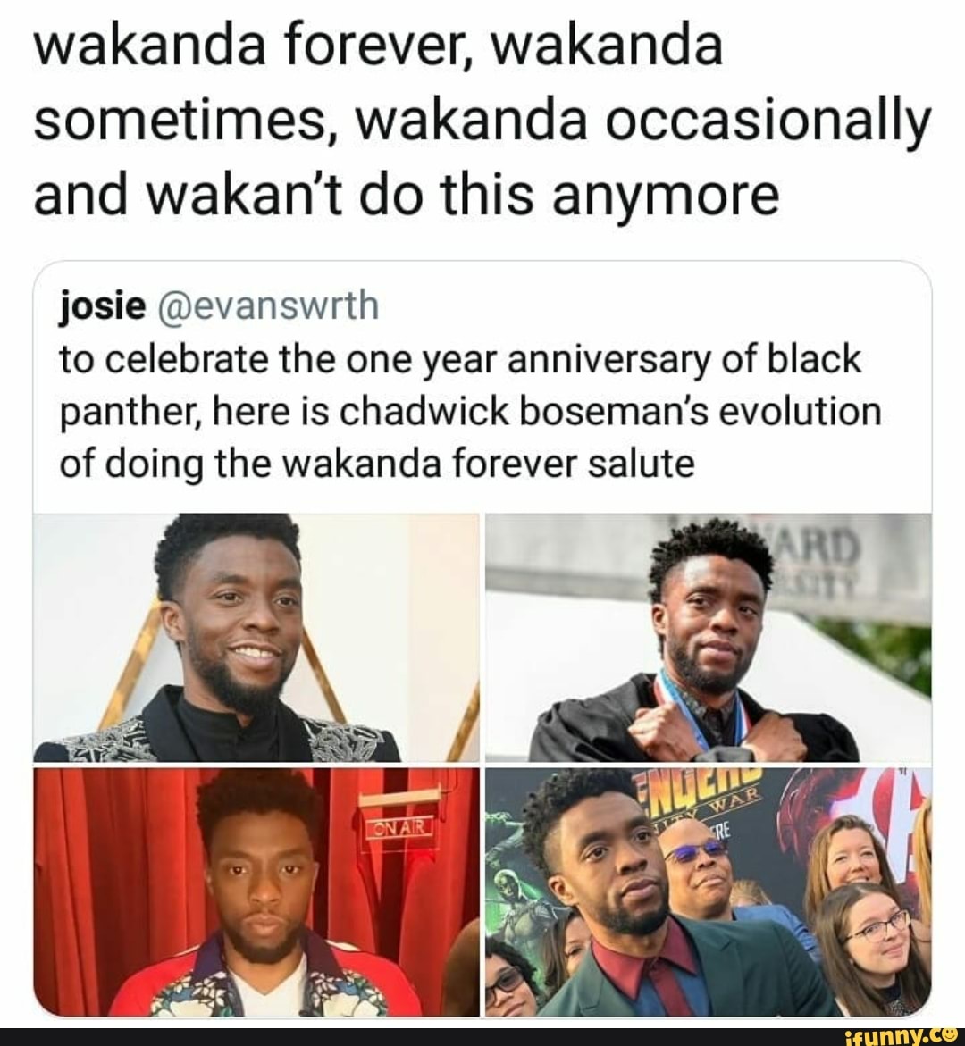 Wakanda forever, wakanda sometimes, wakanda occasionally and wakan’t do ...