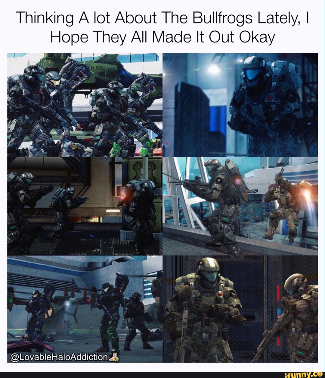 Bullfrogs memes. Best Collection of funny Bullfrogs pictures on iFunny