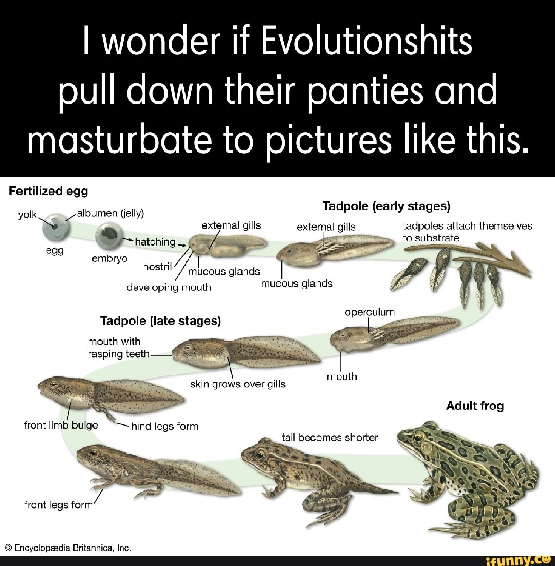 Glands memes. Best Collection of funny Glands pictures on iFunny