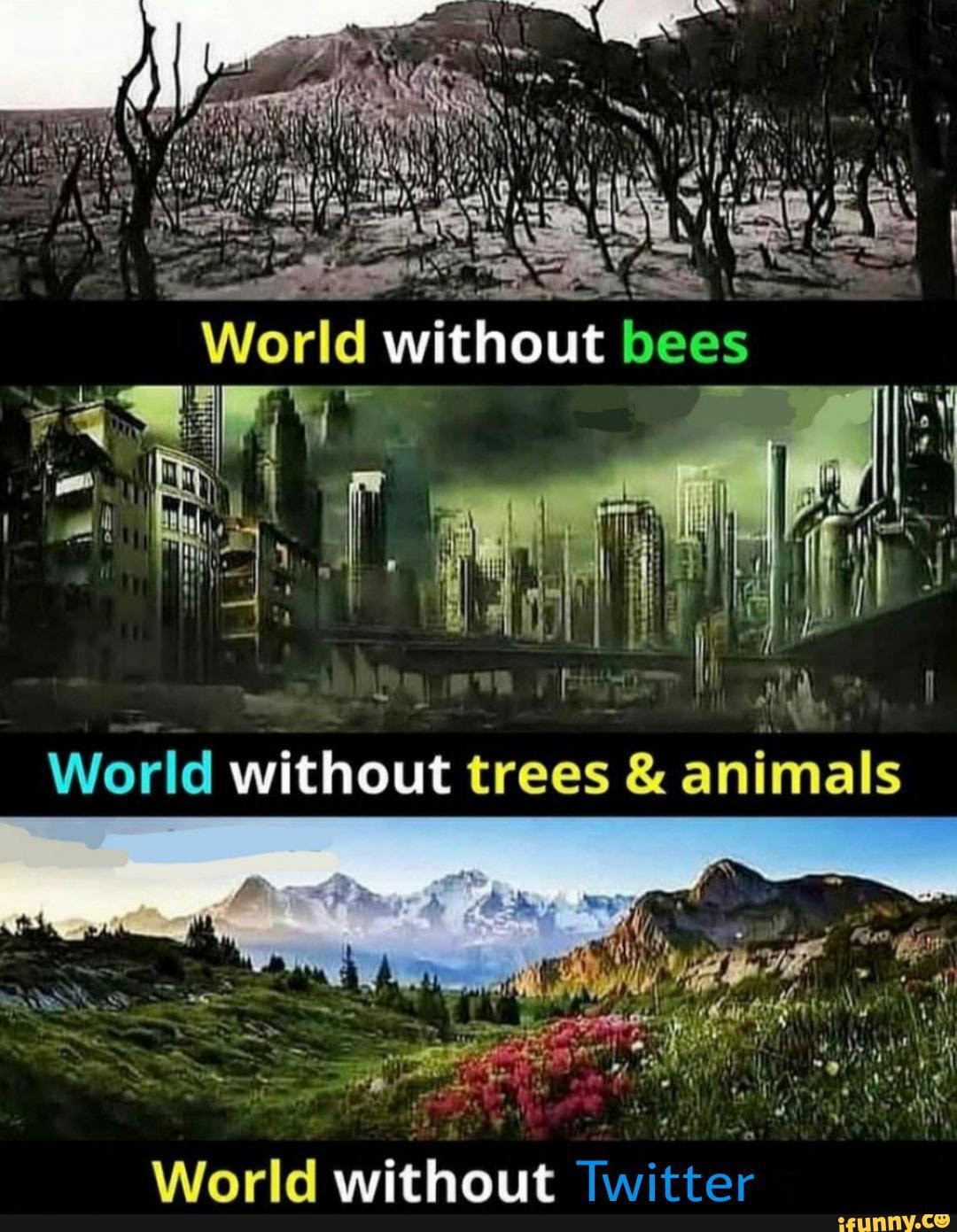 Picture memes Pr7JKrMm7 by Spykerino: 0.6K comments - )