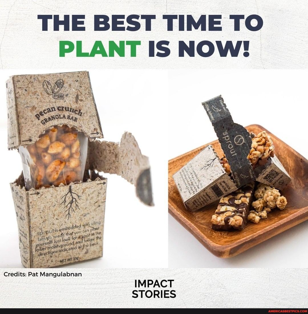 THE BEST TIME TO PLANT IS NOW! Credits: Pat Mangulabnan IMPACT STORIES ...