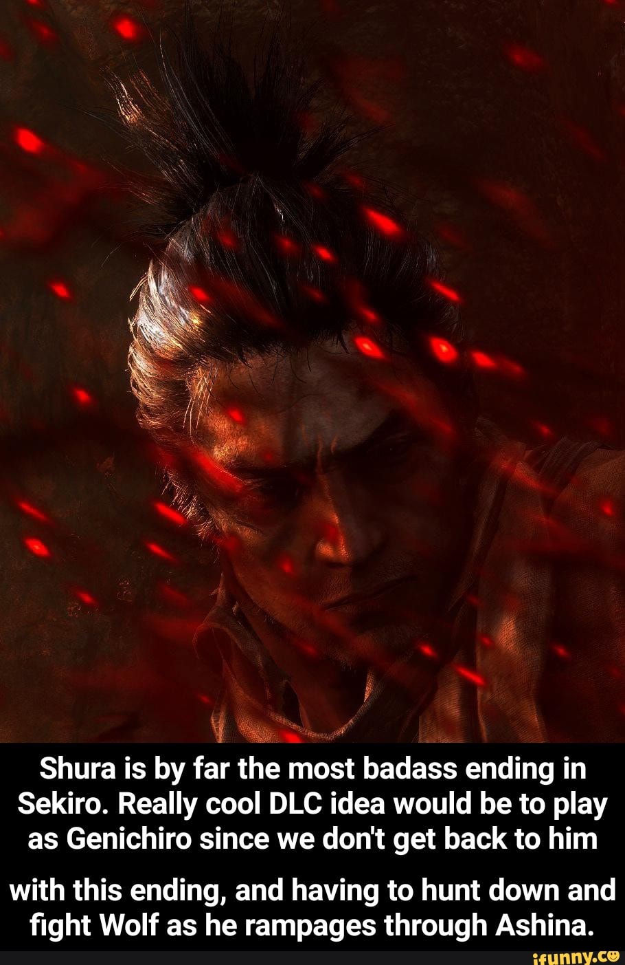 Shura is by far the most badass ending in Sekiro. Really cool DLC idea ...