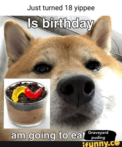 Just turned 18 yippee Is birthday am aoing to eat - iFunny