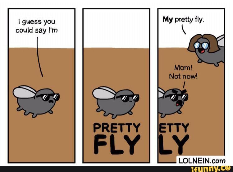 Guess you My pretty fly. could say I'm \ - iFunny