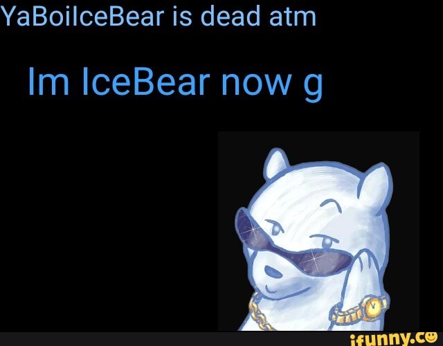 Icebear memes. Best Collection of funny Icebear pictures on iFunny