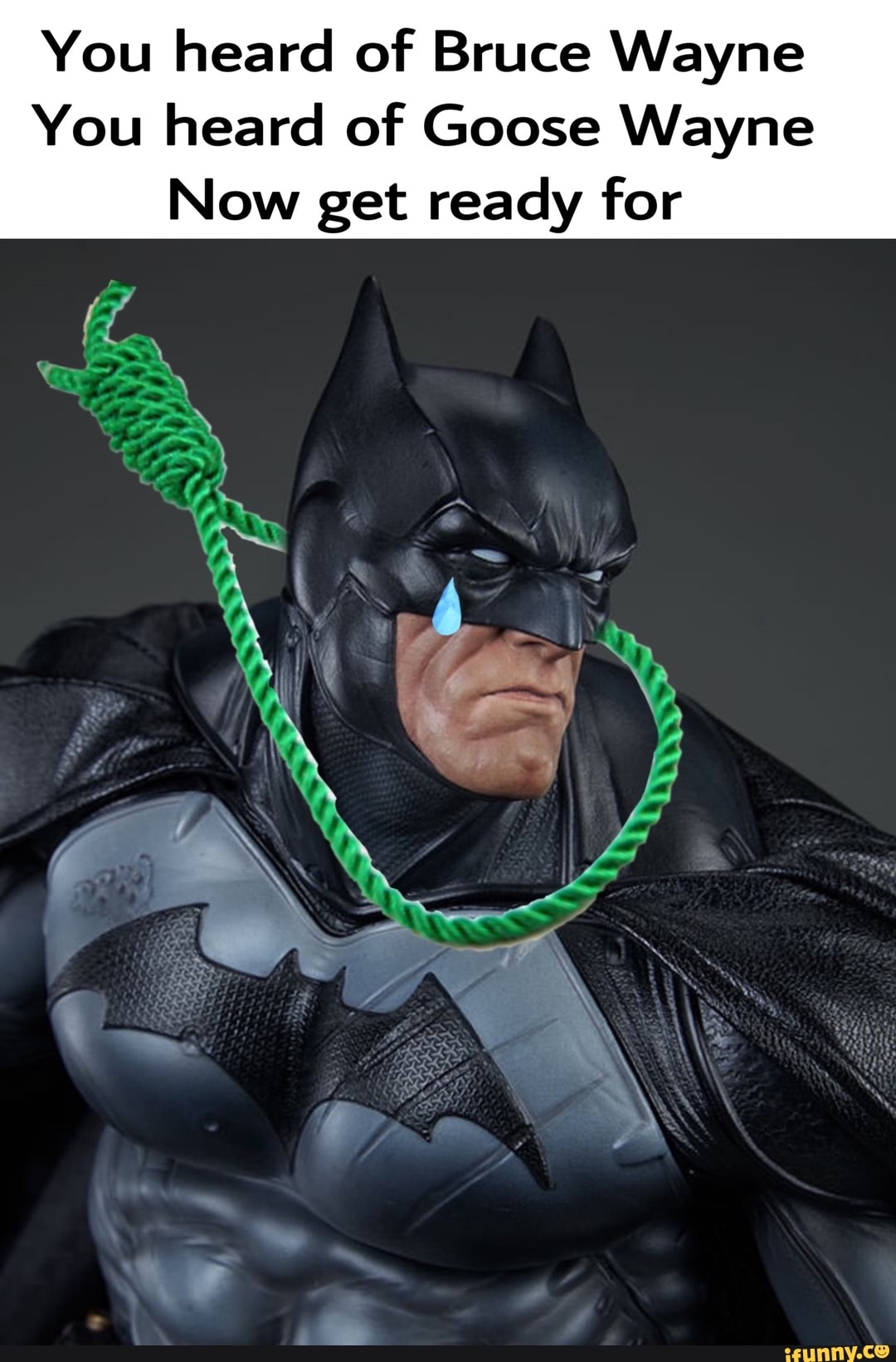 You heard of Bruce Wayne You heard of Goose Wayne Now get ready for ...