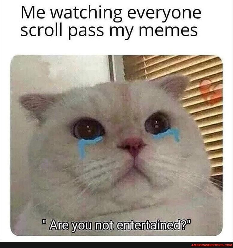 Me watching everyone scroll pass my memes " Are you not entertained ...