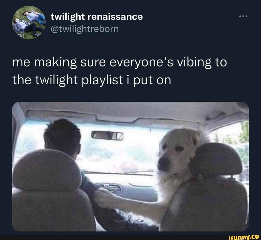 Twilight renaissance me making sure everyone's vibing to the twilight ...