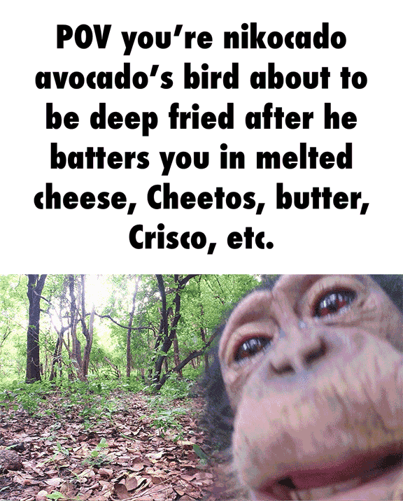 Crisco memes. Best Collection of funny Crisco pictures on iFunny