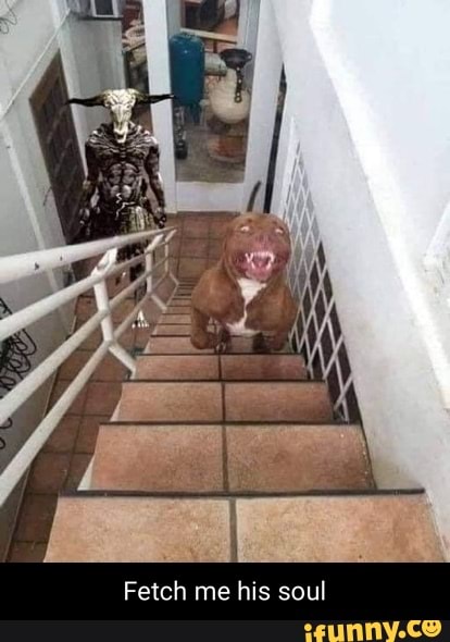 Fetch me his soul - iFunny