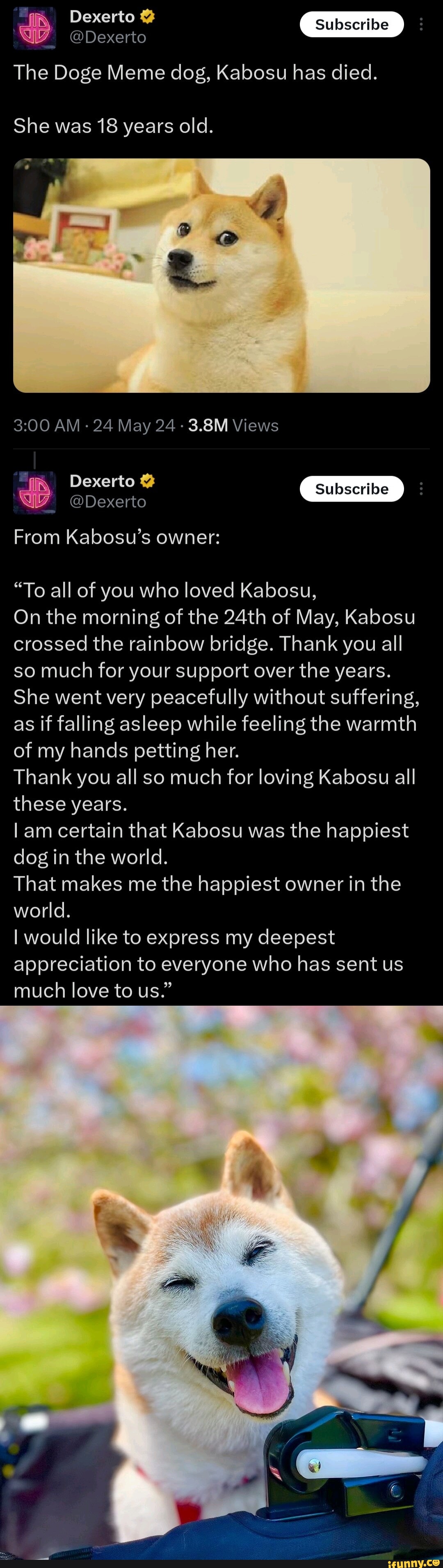 The Doge Meme dog, Kabosu has died. She was 18 years old. AM - 24 May 24 3.8M Views @Dexerto ...