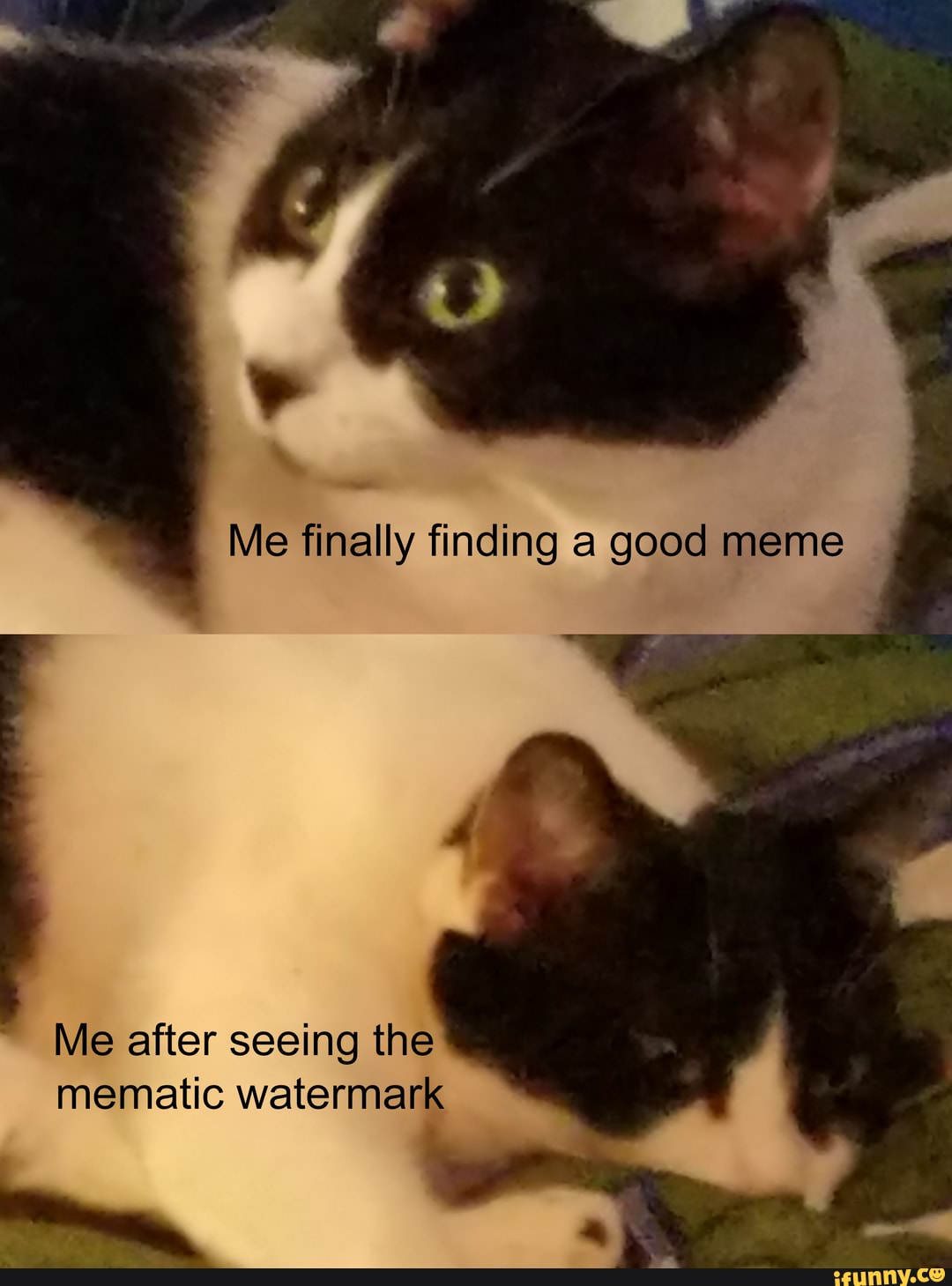 Me after seeing the mematic watermark - iFunny