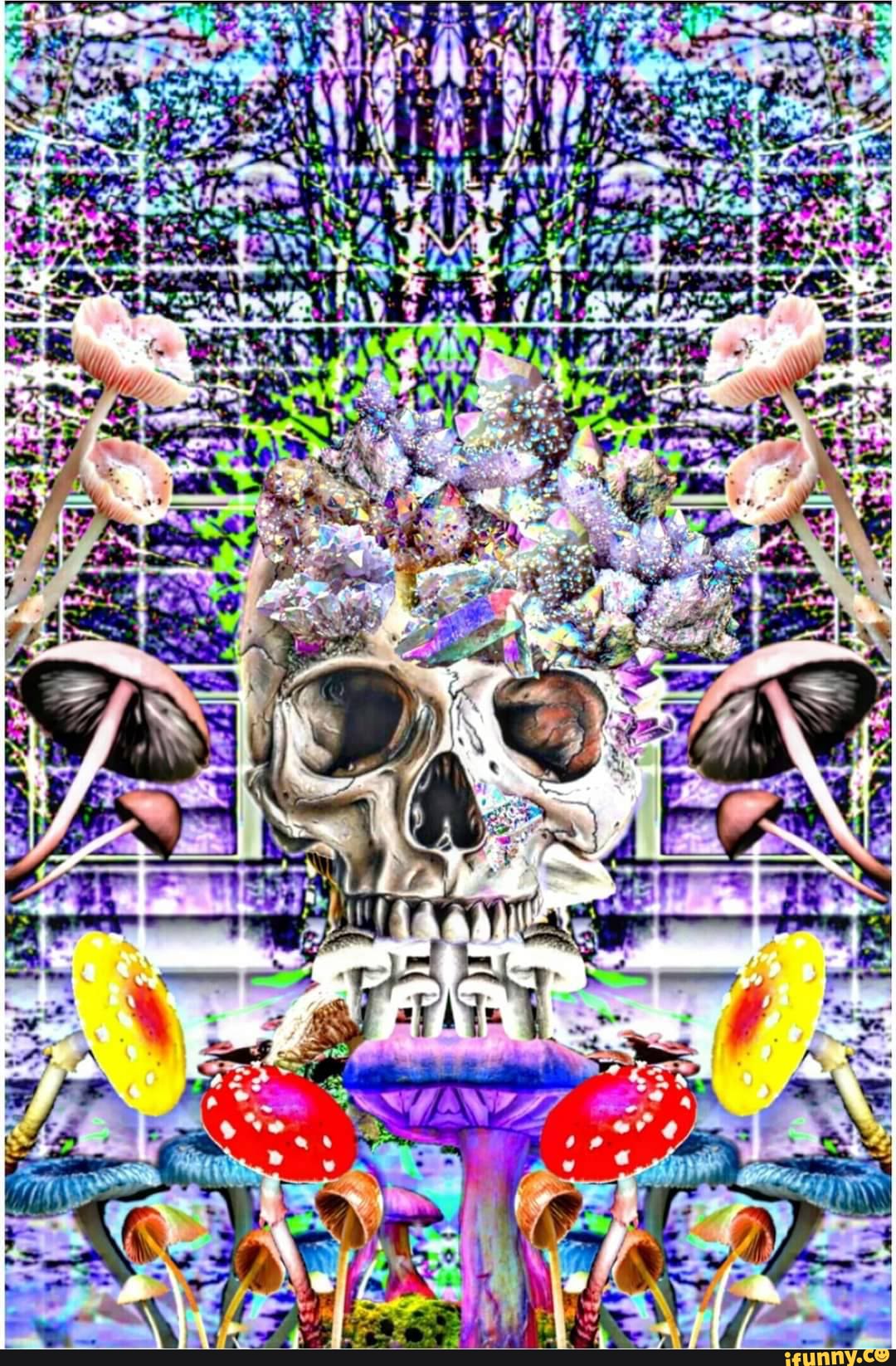 Magic_mushrooms memes. Best Collection of funny Magic_mushrooms ...