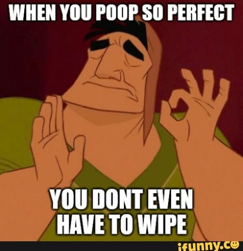 WHEN YOU POOP SO PERFECT YOU DONT EVEN HAVE TO WIPE - iFunny