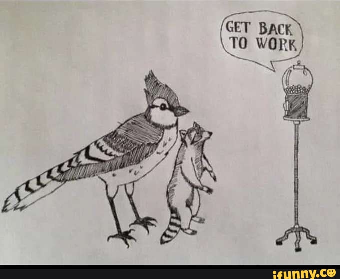 GET BACK WORK) - iFunny