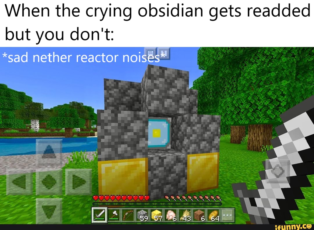 When the crying obsidian gets readded but you don't: *sad nether ...