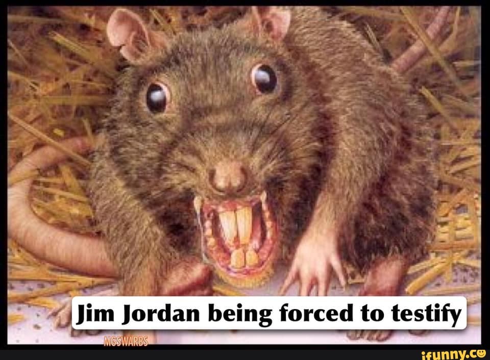 Equivocation memes. Best Collection of funny Equivocation pictures on ...