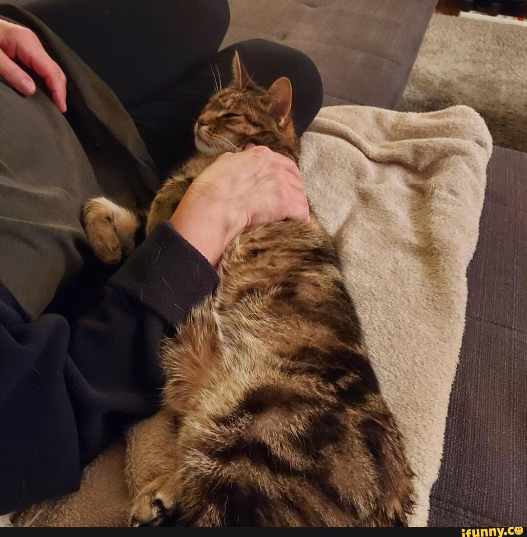 Cuddeling memes. Best Collection of funny Cuddeling pictures on iFunny