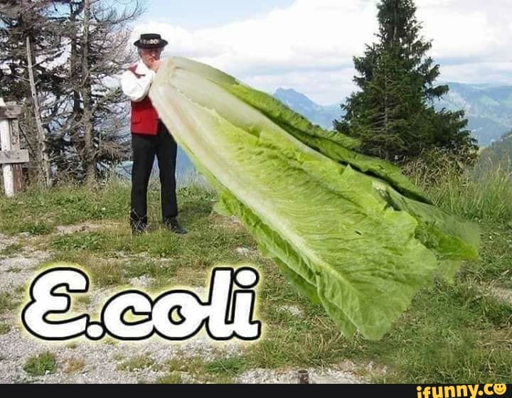 Ricola memes. Best Collection of funny Ricola pictures on iFunny
