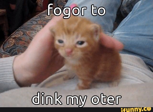 Fogor memes. Best Collection of funny Fogor pictures on iFunny