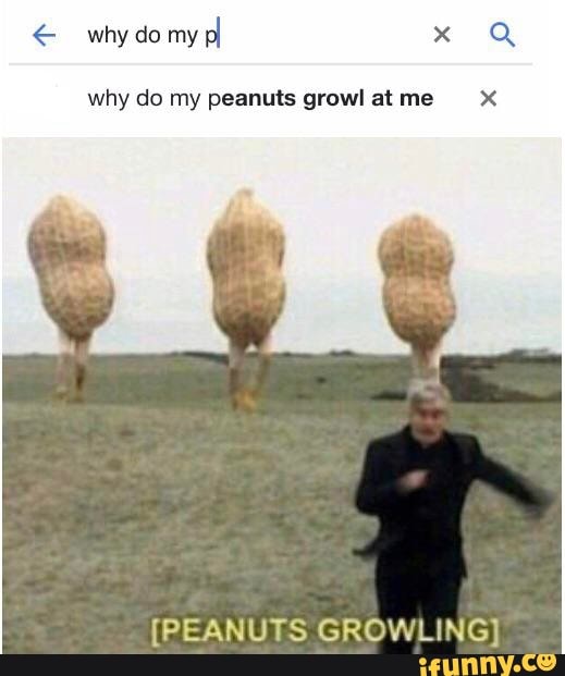 Why do my peanuts growl at me X [PEANUTS GROWLING] - iFunny