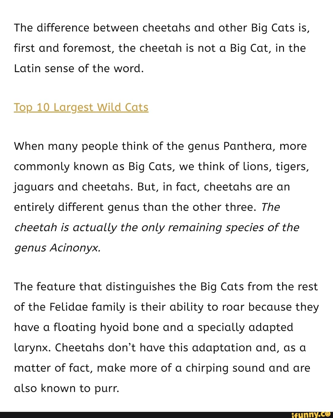 The difference between Cheetahs and other Big Cats is, first and ...