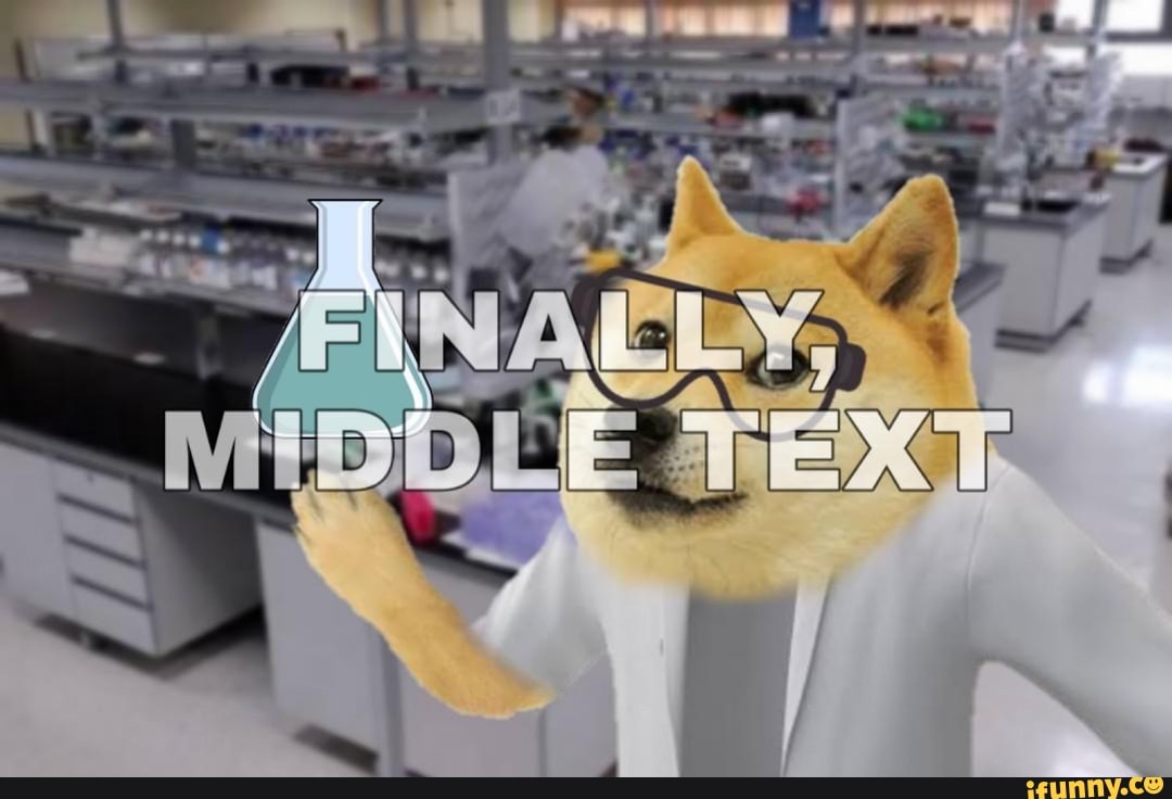 Picture memes swX8iBBd7 by Acidjubatus: 9 comments - iFunny