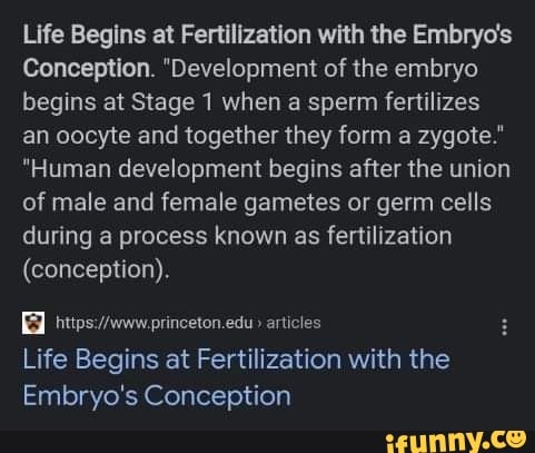 Zygote memes. Best Collection of funny Zygote pictures on iFunny