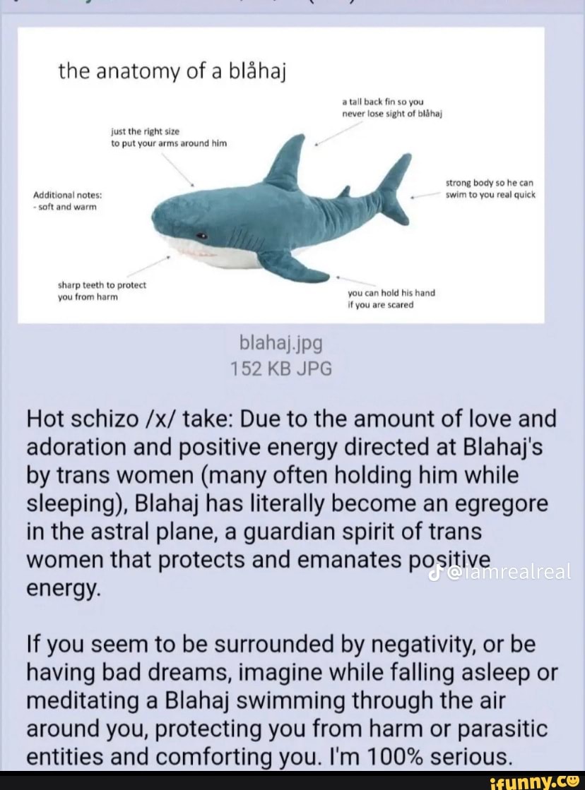 Blahajtheprotecter memes. Best Collection of funny Blahajtheprotecter ...