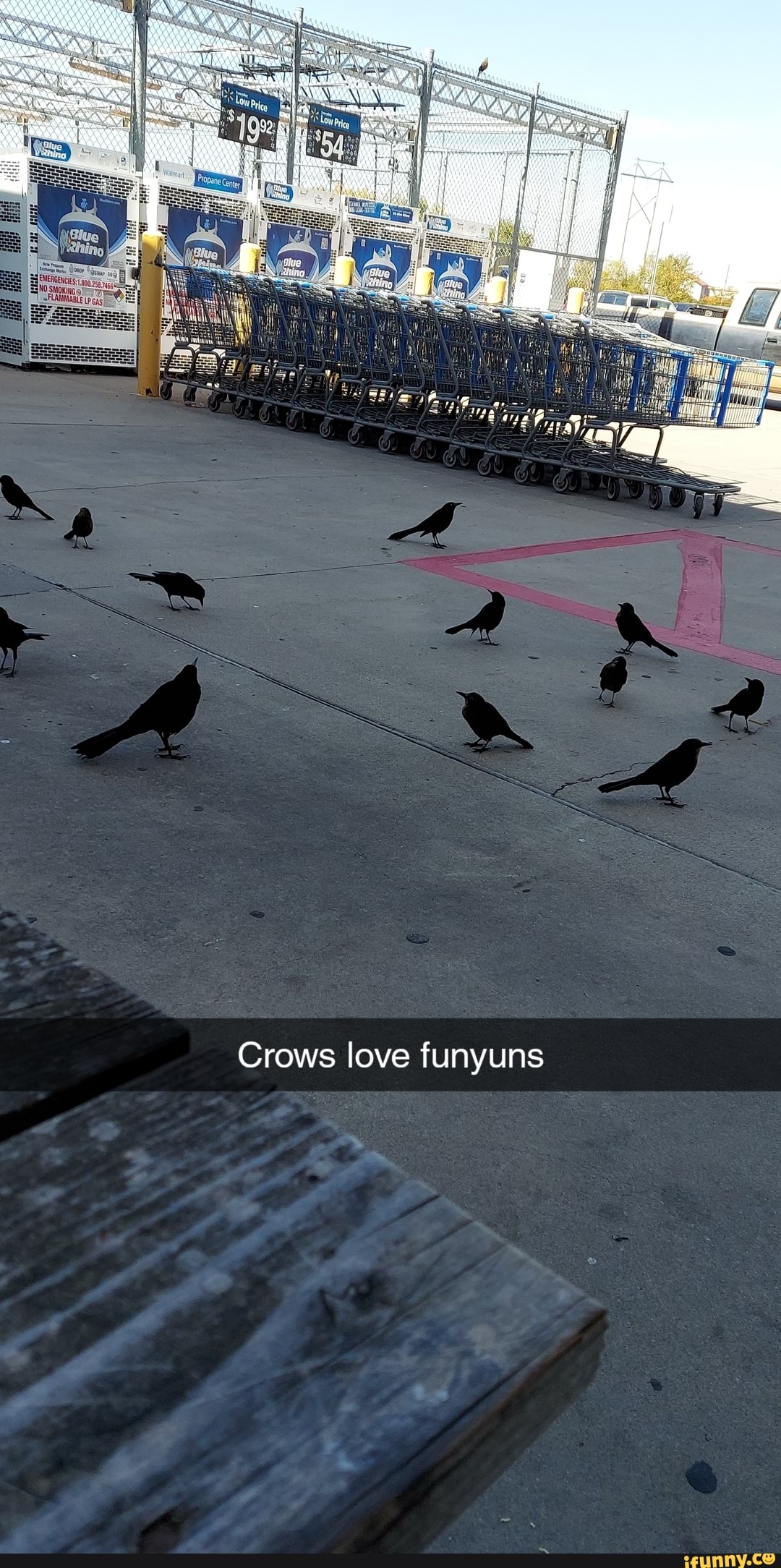 Funyuns memes. Best Collection of funny Funyuns pictures on iFunny