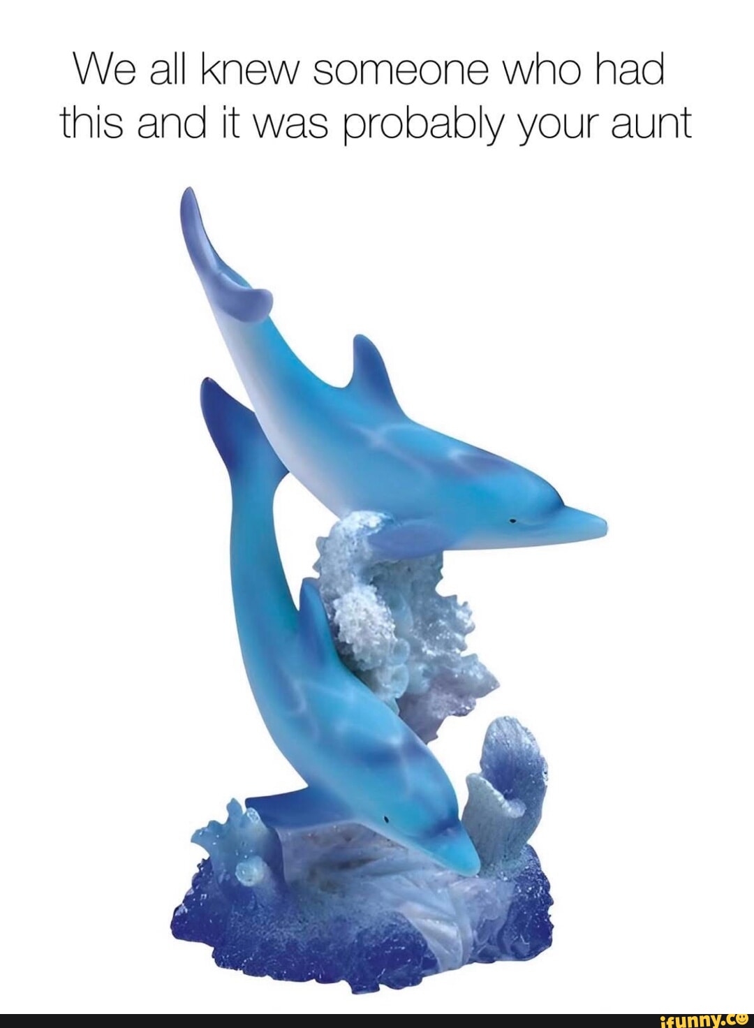 Funny Dolphins Memes