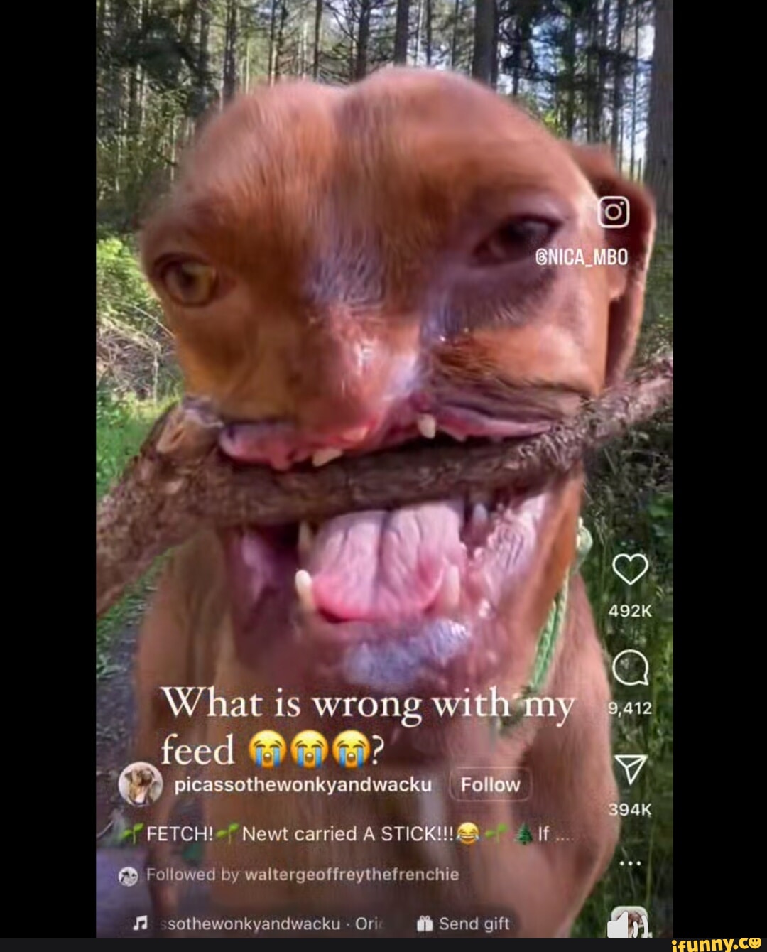 Newt memes. Best Collection of funny Newt pictures on iFunny