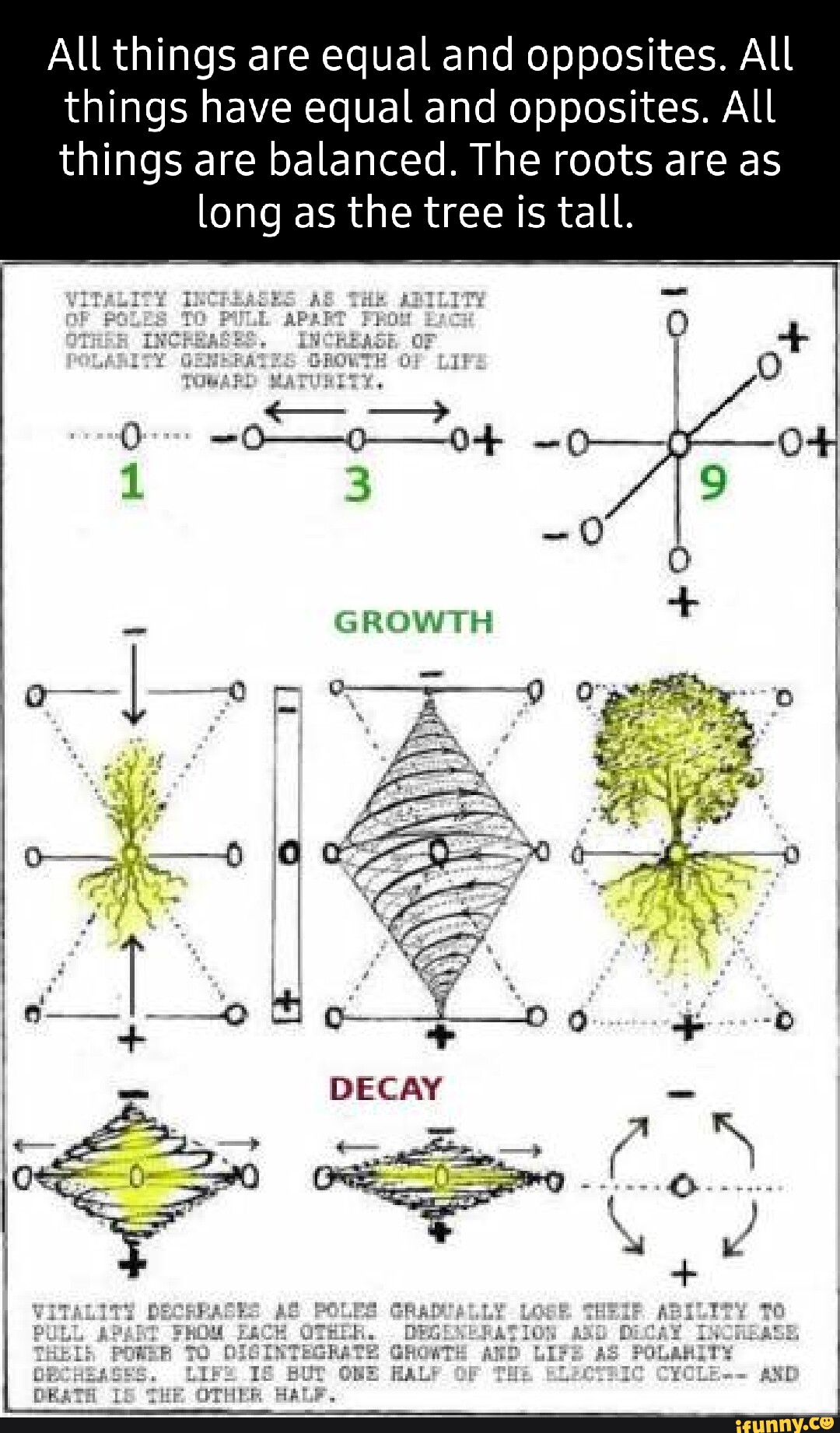 All things are equal and opposites. All things have equal and opposites ...